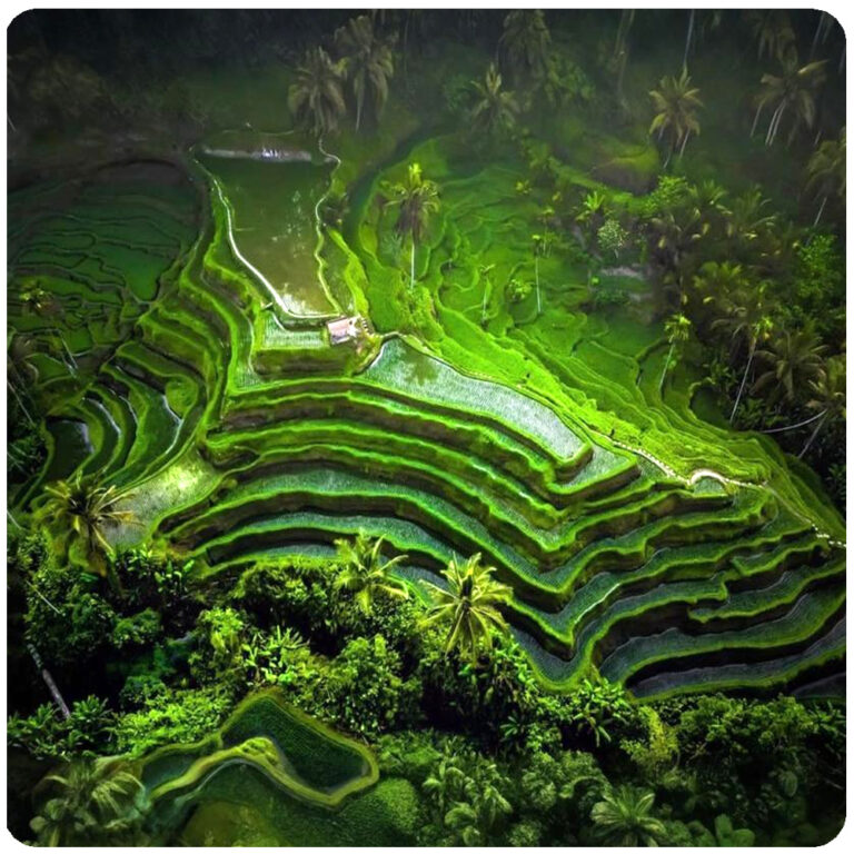 DISCOVER CENTER OF BALI 7 ICONIC TOURIST SPOTS - Bali Best Travel Planner
